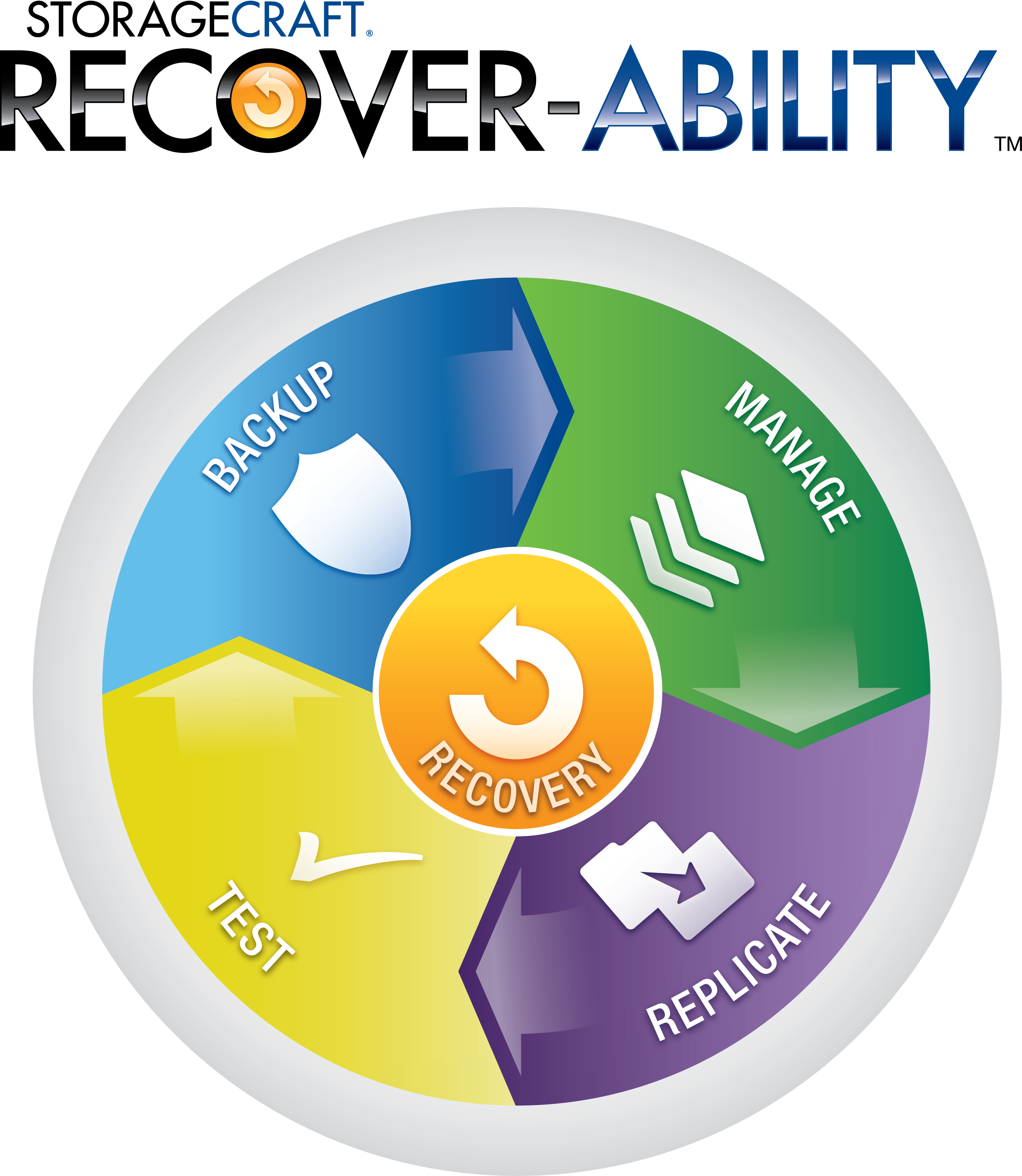 STC_Recover-Ability_Wheel_Graphic – Kogo